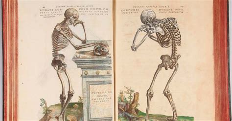 The Most Influential Medical Book Of The 16th Century Video Ancient