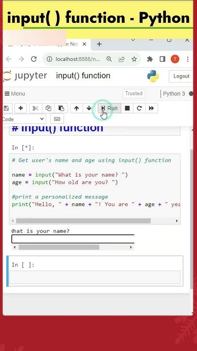 12 Input Function Python Coding Youtube