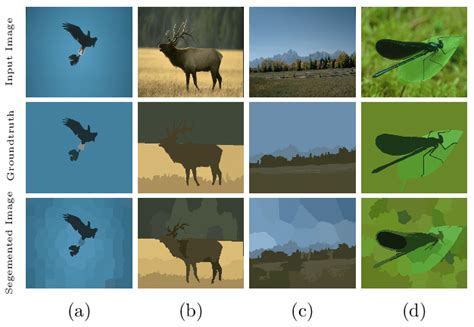 first row input image second row groundtruth and third row
