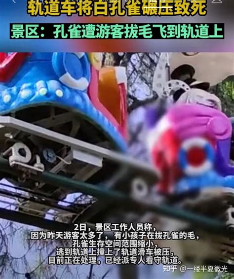 太痛心了！ 知乎
