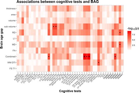 Assessing Distinct Patterns Of Cognitive Aging Using Tissue Specific Brain Age Prediction Based