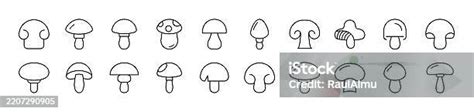 버섯 관련 아이콘 세트입니다 편집 가능한 스트로크 웹 사이트 책 카드 앱에 적합 Boletus에 대한 스톡 벡터 아트 및 기타 이미지 Boletus 가을 건강한 생활