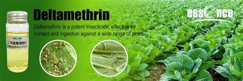 Deltamethrin Is A Pyrethroid Ester Insecticide Which Be Used On… Ivy Xu