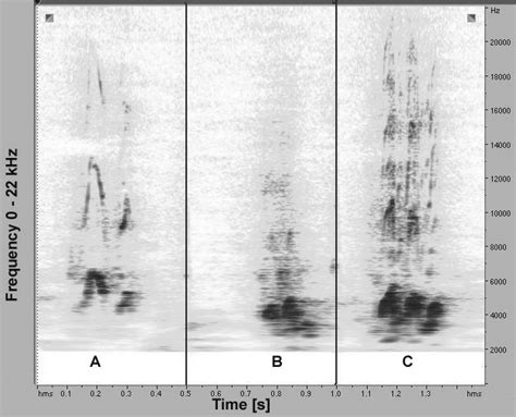 Spectrogram Of Three Examples Of Chirp Types A C Frequency Range 0