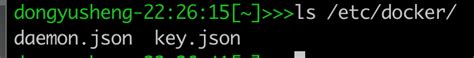 长文详解！docker客户端与服务端tls认证（docker remote api认证） tls verify csdn博客