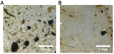 Dos And Donts Of Microplastic Research A Comprehensive Guide Dos And Donts Of Microplastic Research A Comprehensive Guide