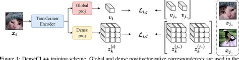 Figure 1 From Improving Dense Contrastive Learning With Dense Negative Pairs Semantic Scholar