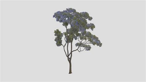Tree Point Cloud Buy Royalty Free 3d Model By Magnumopus Tree