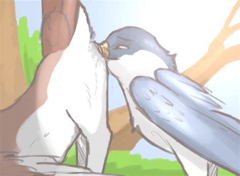Rule 34 2019 Ambiguous Gender Animal Genitalia Ass Up Avian Beak