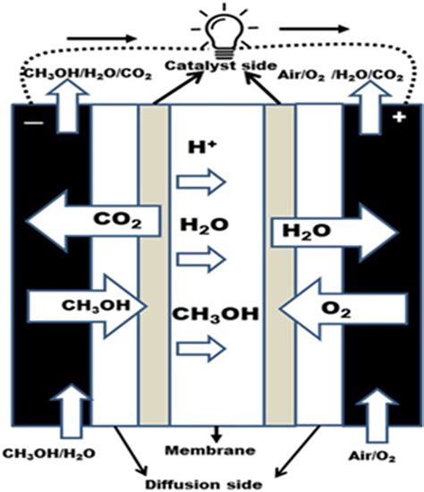 Schematic Diagram Of The Direct Methanol Fuel Cells Dmfc Working Download Scientific Diagram