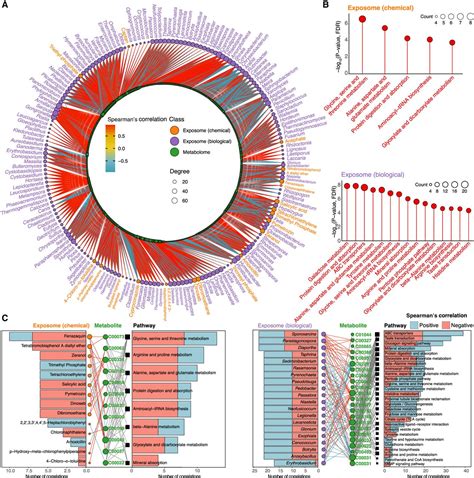 Precision Environmental Health Monitoring By Longitudinal Exposome And
