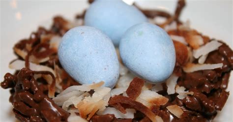 Everything To Entertain Edible Birds Nests