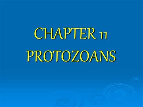 Protozoa Pptx