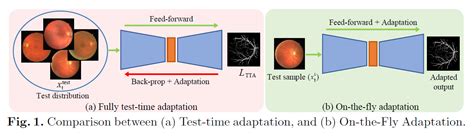用于医学分割的实时test Time Adaptiontest Time Adaptation 去噪 Csdn博客