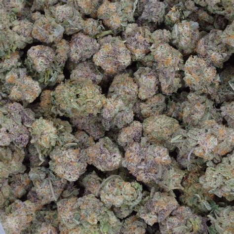 Lambs Breath Strain Buy Weed Online In Canada From Cannabudpost