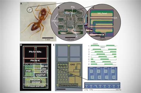 Microscopic Robots Can Walk Autonomously Using The Power Of The Sun Techeblog