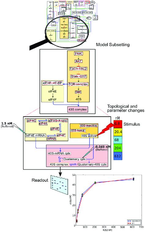 data flow using the model specification experiment specification