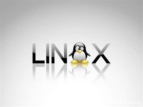 Linux服务器查看内存型号查看内存型号详细信息命令 不念博客 Linux服务器查看内存型号查看内存型号详细信息命令 不念博客
