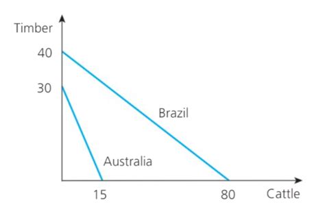Absolute And Comparative Advantage Flashcards Quizlet