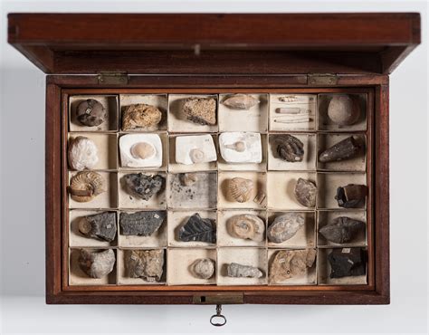Boxed Mineral Specimens Walpole Antiques