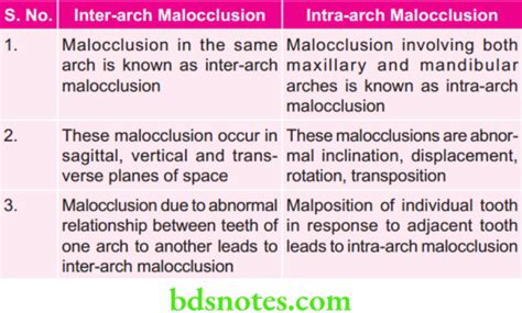 Classification Of Malocclusion Question And Answers Bds Notes