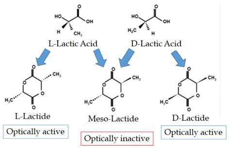 Polylactic Acid Degradation