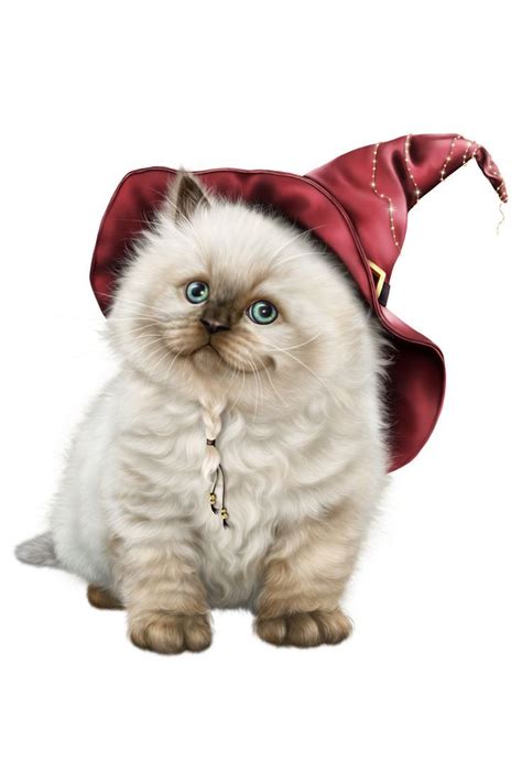 Halloween Cat Хэллоуинский кот Png Собачьи портреты Кошки и котята Котята