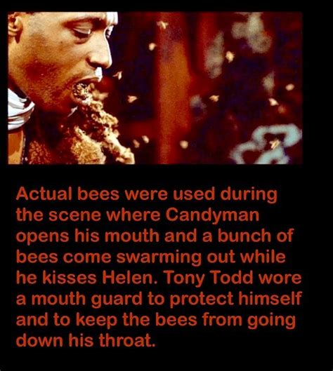 Candyman Bees Scene