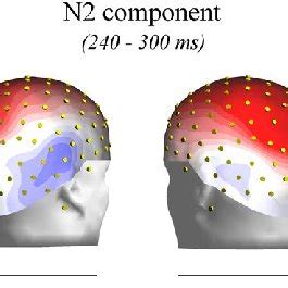 Topographic Maps Of Voltage Distribution Over The Scalp Topographic Download Scientific