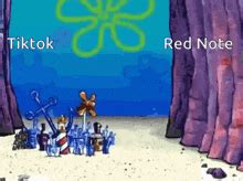 Spongebob Push S Tenor