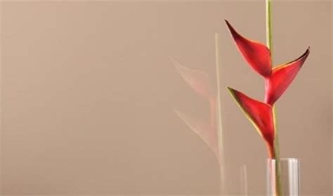 Glass Samples Samples Cronos Design