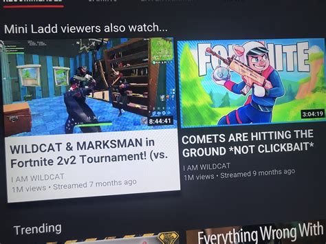 Mini Please Explain R MiniLadd