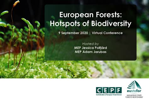 Hotspots Of Biodiversity The Role Of Sustainable Forest Management In Europe Medforest