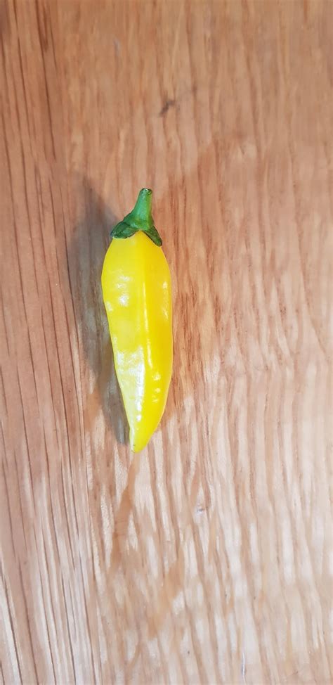 Lemonella R Hotpeppers