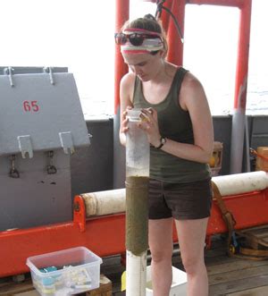 The Sands Of Time What Years Of Sediment Can Teach Us About The Changing Ocean Dal