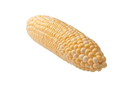 Corn Isolated Corn Kernels Images Free Download On Freepik