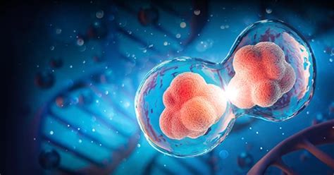 Data Sampling In Lt Adinstruments