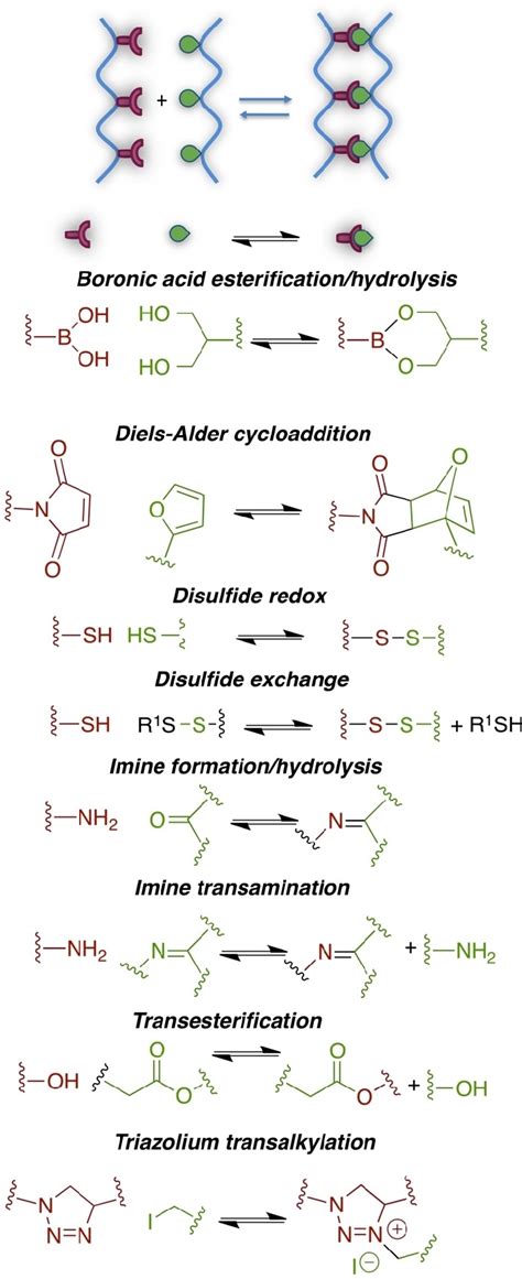 Scheme 13 Selected Chemical Reactions Useful For Dynamic Cross Linking