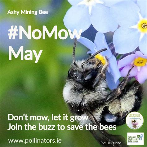 Hanley Energy On Linkedin Nomowmay Nomowmay