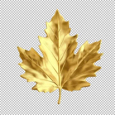 투명 한 배경 에 고립 된 황금색 메이플 잎 프리미엄 Psd 파일 투명 한 배경 에 고립 된 황금색 메이플 잎 프리미엄 Psd 파일