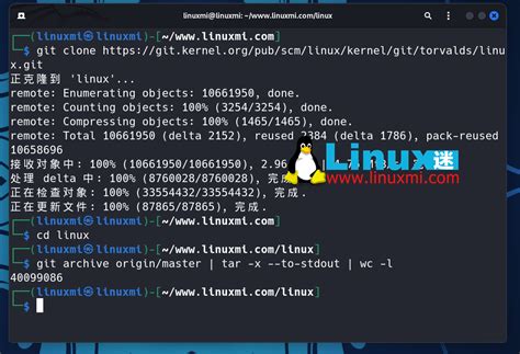 Linux 内核突破 万行代码快速扩展与未来挑战 Linux迷