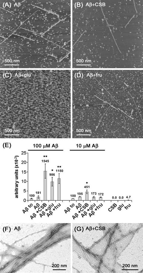 Amyloid Structure Of Aβ 1 42 Fibrils A D Atomic Force Microscopy Download Scientific Diagram