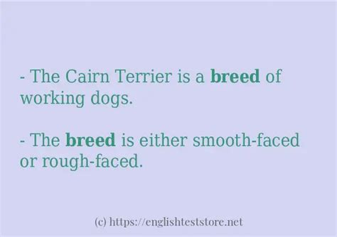 Breed Some Sentence Examples Englishteststore Blog