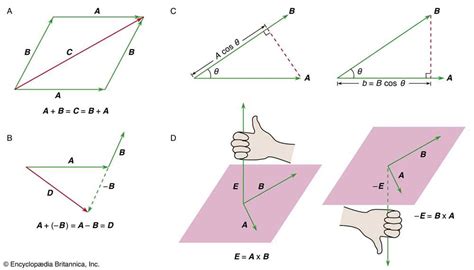 Mastering Vectors And D Motion Answering The Physics Worksheet Crash Course