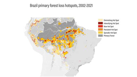 Deforestation Before And After Map