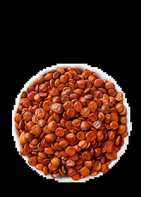 酸枣仁1 花瓣网