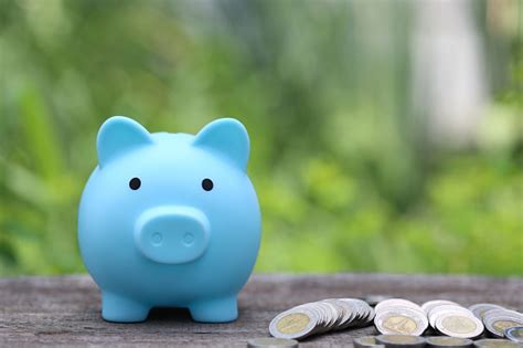 미래의 준비에 대한 비용 절감 및 투자 개념 돼지와 자연 녹색 배경에 동전 돈의 스택 개념에 대한 스톡 사진 및 기타 이미지