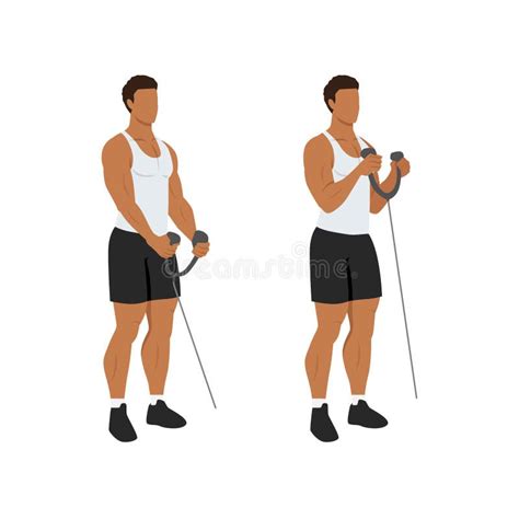 Bicep Cable Curl Stock Illustrations 24 Bicep Cable Curl Stock