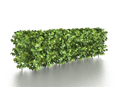Landscape Hedges Shrubs 3d Model 3ds Max Files Free Download Cadnav