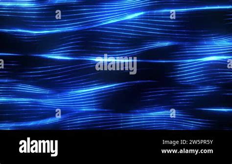 Abstract Plexus Lines Strings Flowing Seamless Loop 4k Animation Of An